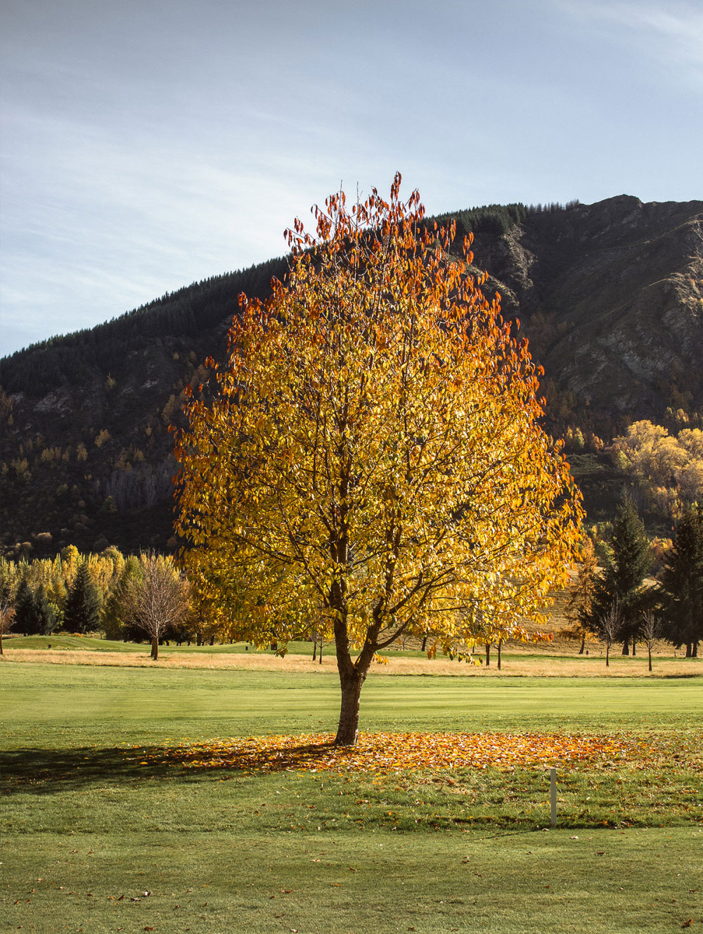 Autumn in Arrowtown New Zealand